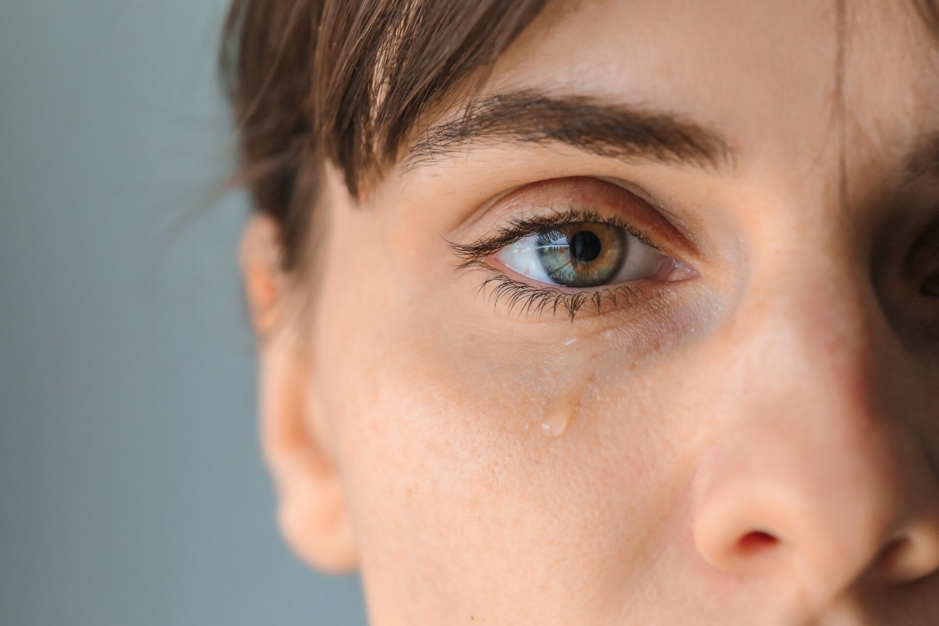 Understanding the Intersection between Coercive Control and Family Law ...